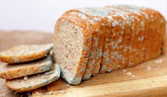 Alimentos con moho, ¿qué hacer? - Laboratorios KIMICEG